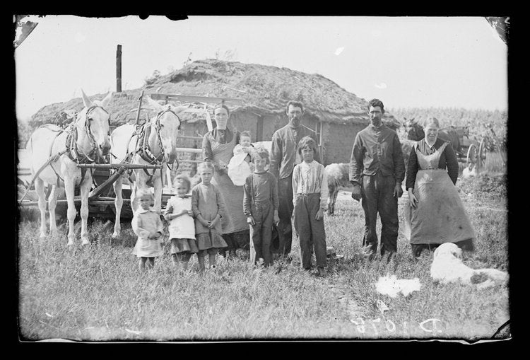 People First Farming – Northaven Pastures